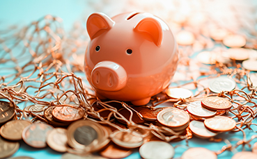 Safeguard Your Financial Future with Insurance Options